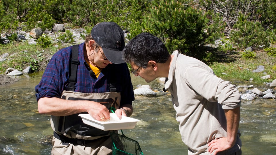 100 Jahre Nationalpark - Nationalpark: Eine Wanderung mit ...