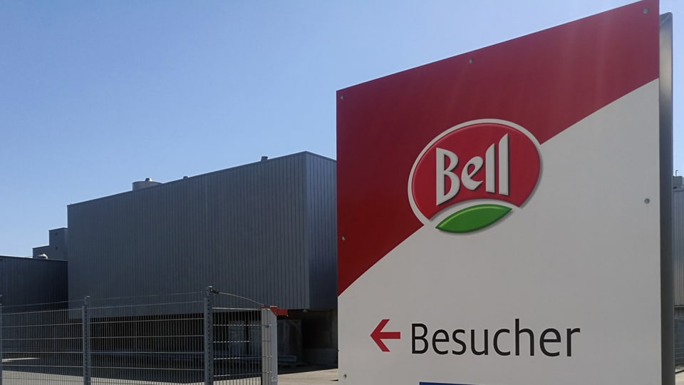 Schlachthof Bell Oensingen - Mehrere Verletzte bei Räumung des Areals ...