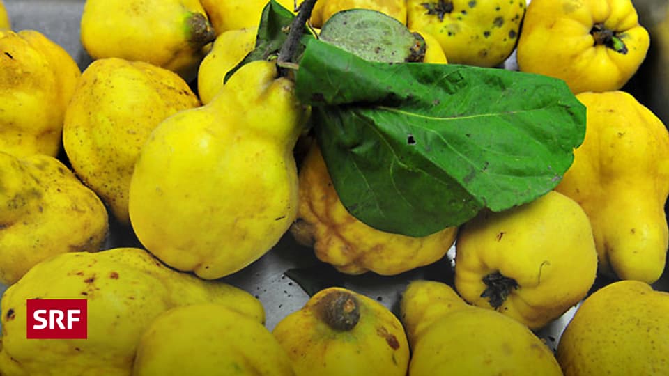 Die Quitte – Die letzte Sommerfrucht - A point - SRF