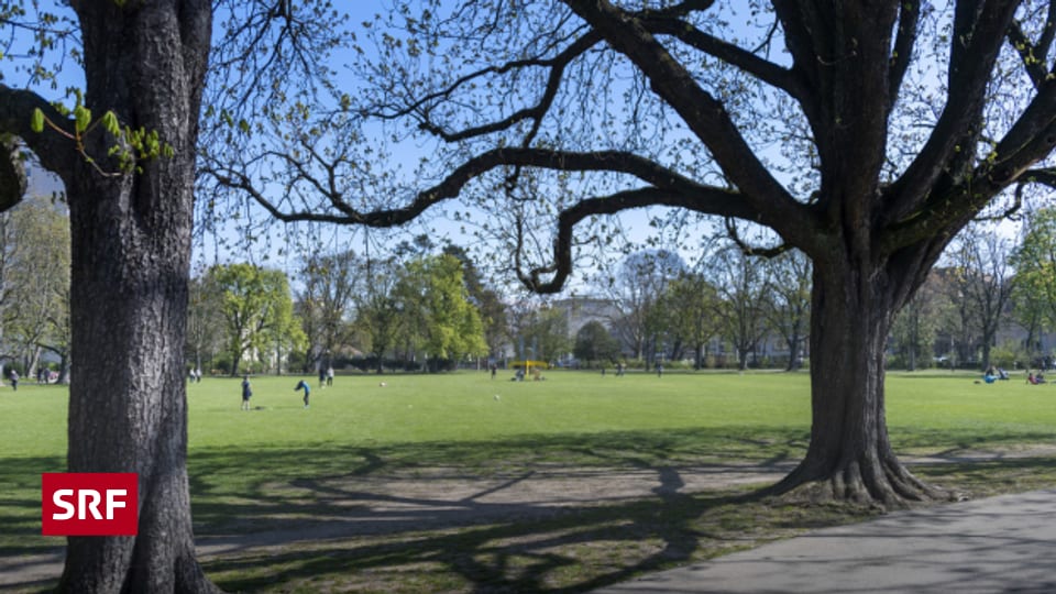 Mit künstlicher Intelligenz Basler Parks besser bewässern ...