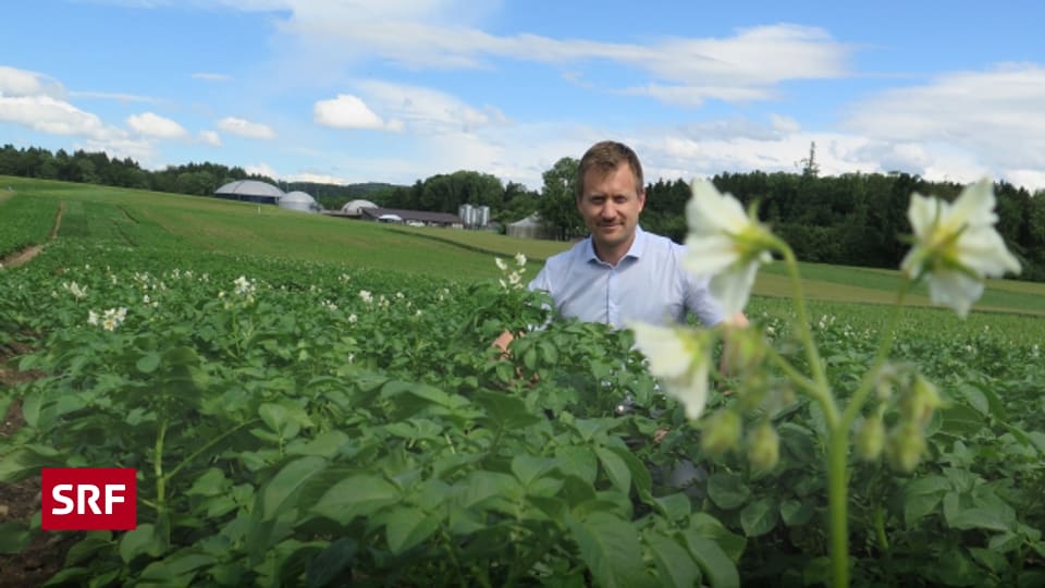 «Die Felder sind in einem prekären Zustand» - Regionaljournal Zürich ...