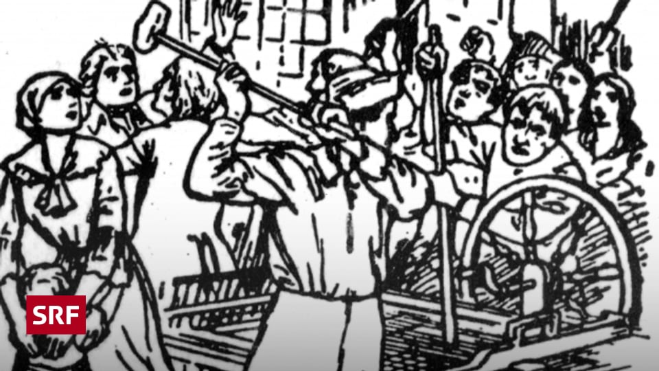 Luddit - 100 Sekunden Wissen - SRF