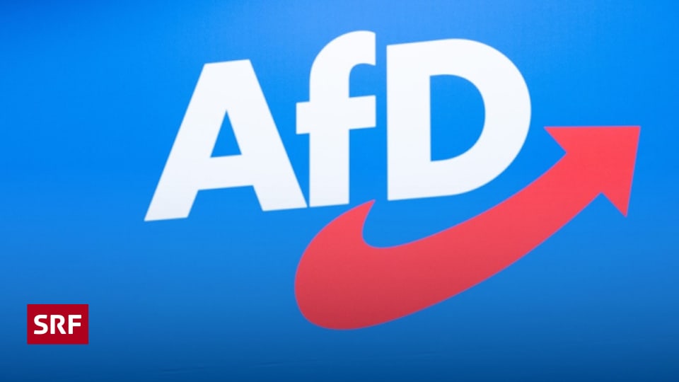 Heute vor 10 Jahren: Gründung der deutschen Partei AfD - Tageschronik - SRF