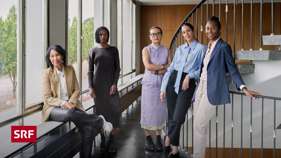 Kann das neue Kuratorium den Ruf der Documenta wiederherstellen? - Kultur - SRF