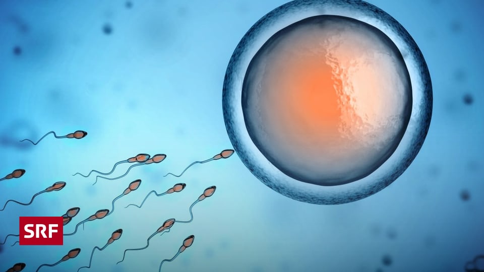 Vielversprechendes Molekül - Kommt endlich die Pille für den Mann ...