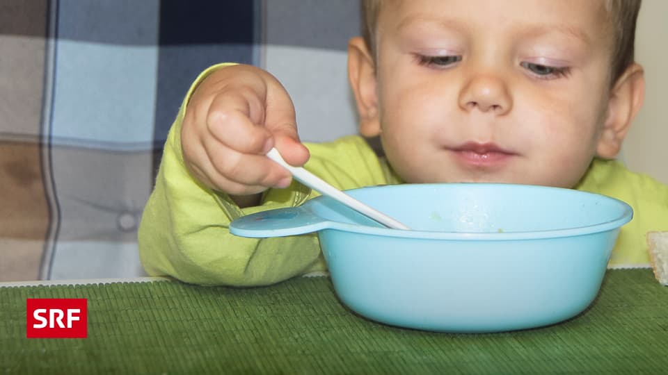 Ernährung - Der «perfekte Teller» sieht für jeden anders aus - Wissen - SRF