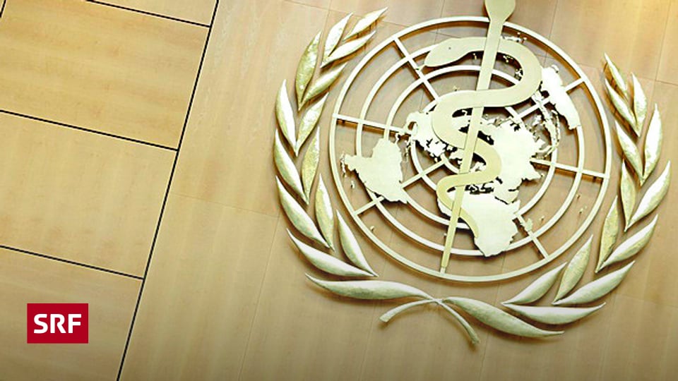 - Die WHO am Tropf von Philanthropen? - Wissen - SRF