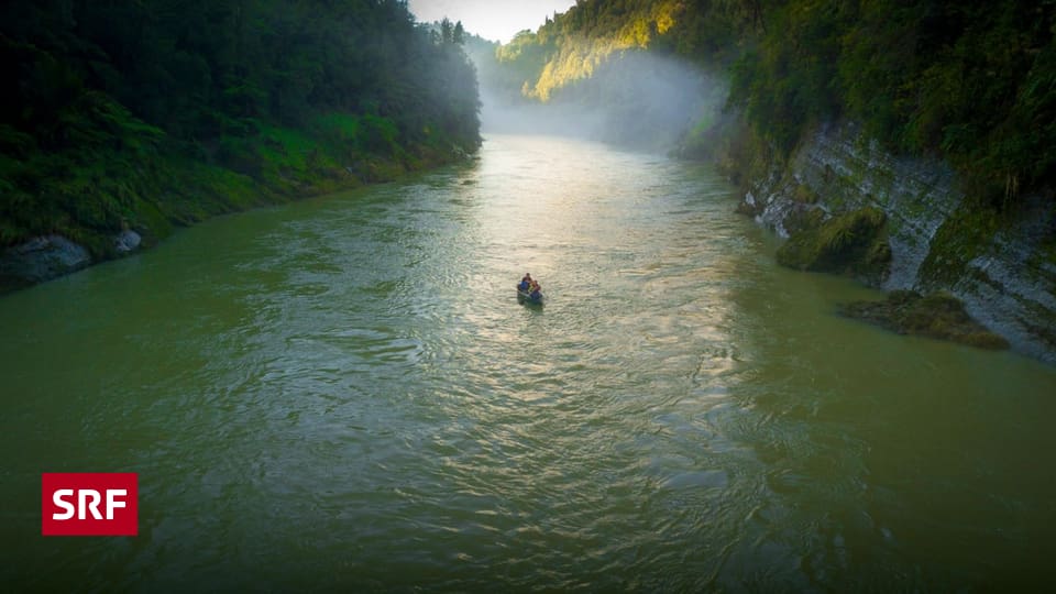 Ausstellung «Alles lebt» - Wie eine Welt im Gleichgewicht aussehen ...