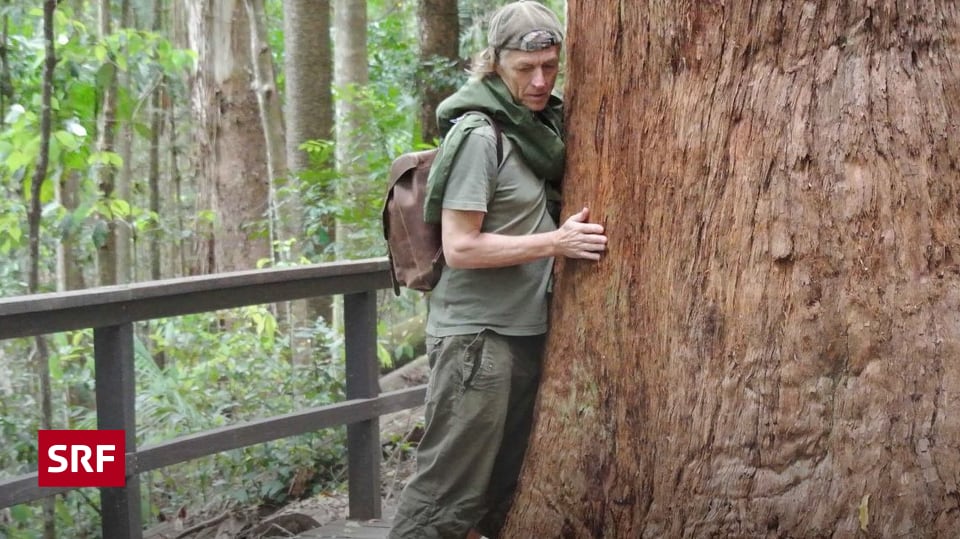 Schlager - In Australien fand Jogl Brunner zu sich selbst - Radio SRF Musikwelle - SRF