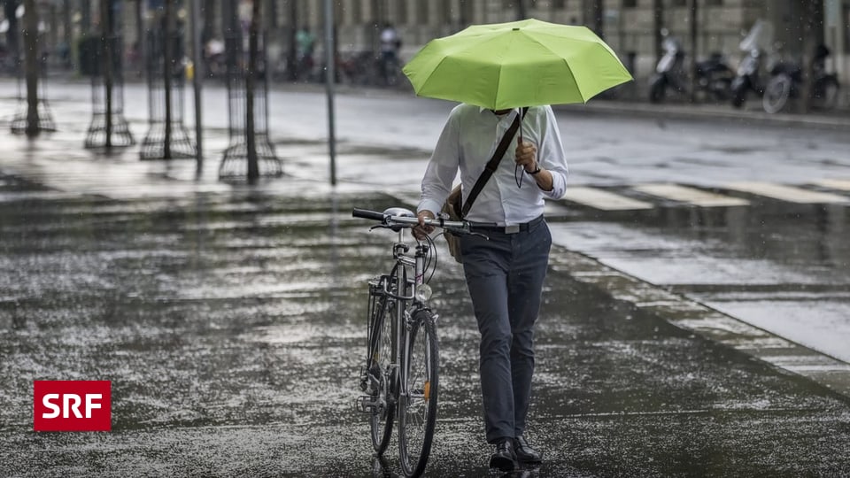 Schweizerdeutsche Grammatik - «De Maa, dä ich gseh ha» – ist das noch ...