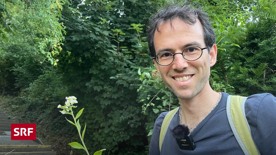 Verein «Grüner Fisch» - Wenn ein Weltraumphysiker mit Jesus gegen ...