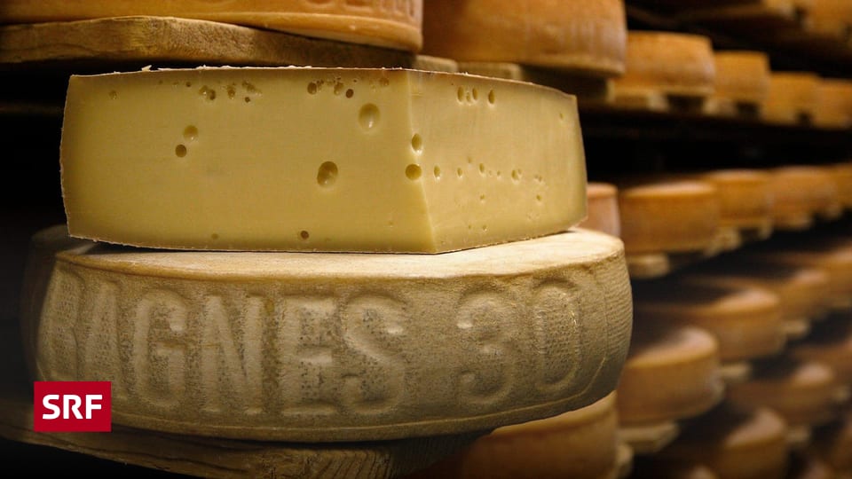 Einfach erklärt - Käse stinkt – aber warum eigentlich? - Kids - SRF