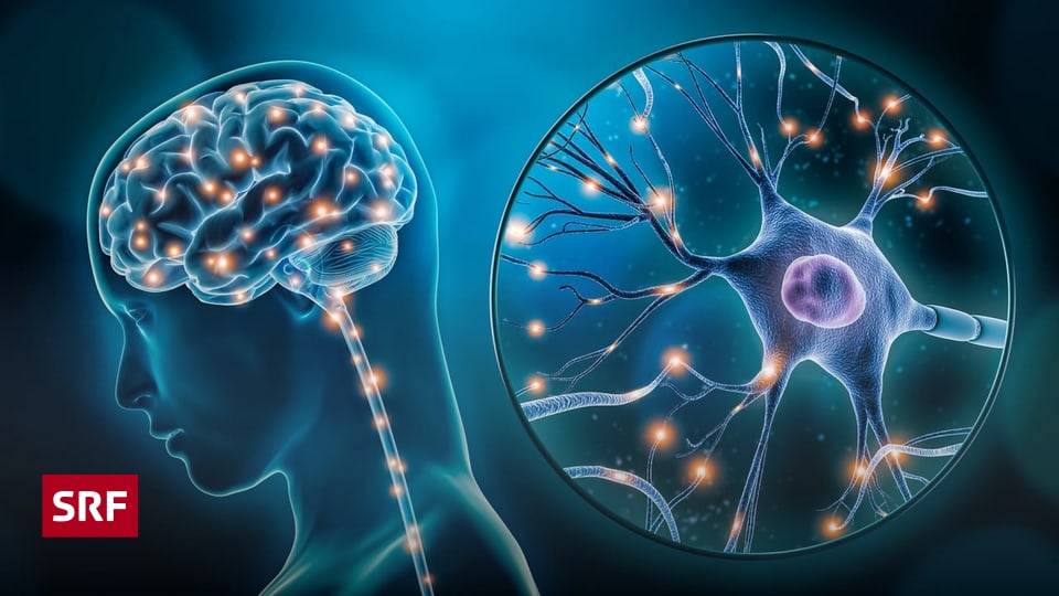 Link bokep telegram malaysia winny is beautiful, although