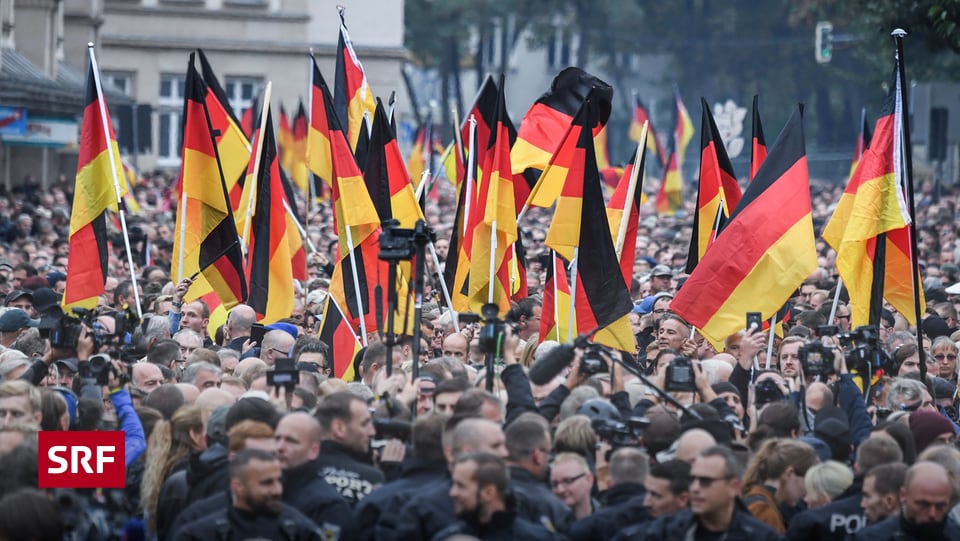 Neues Buch über die AfD - Wie die AfD die politische Kultur in ...