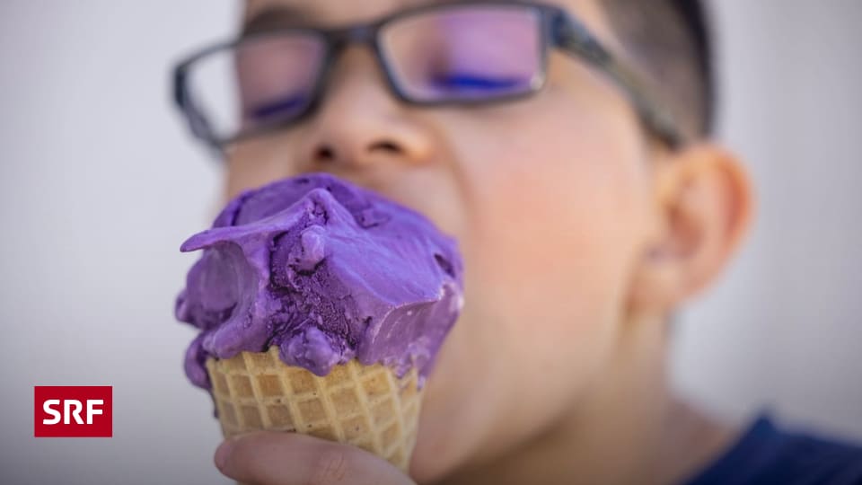 Satirische News: Ube überall – aber ist Lila wirklich so lässig ...
