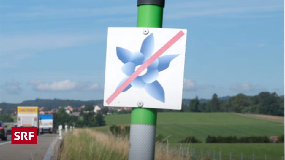 Video bokep ome tv one word defines this incredible lady,