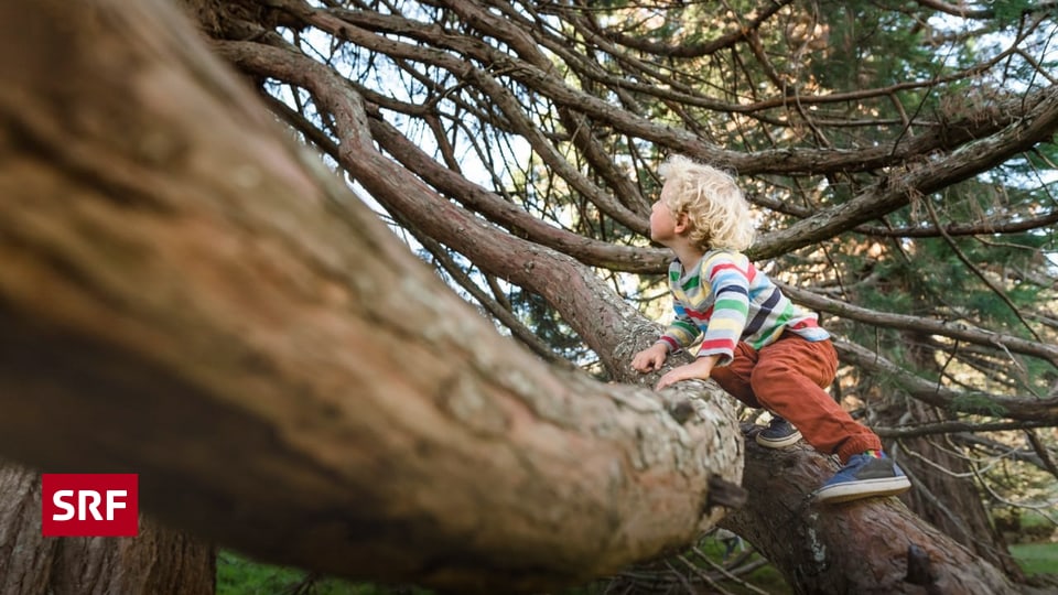 Waldkindergärten & Co. - Macht das Spielen zwischen Bäumen Kinder ...