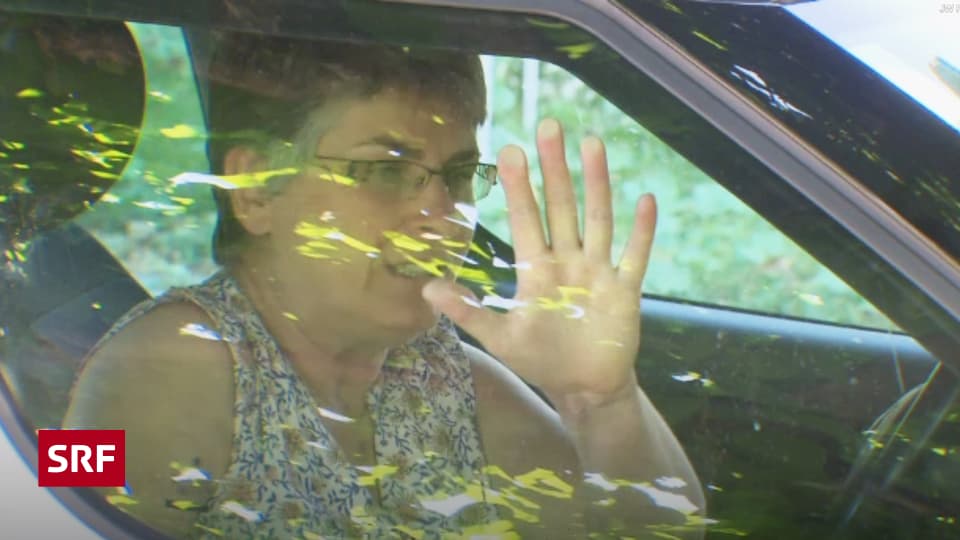 Umwelt und Verkehr - Vorsicht Falle: «Safe Lock» sperrt Insassen im ...