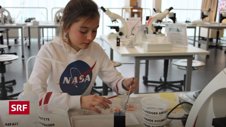 Wissen - «Warum wird der Salat «lampig», wenn ich ihn mit Sauce mische ...