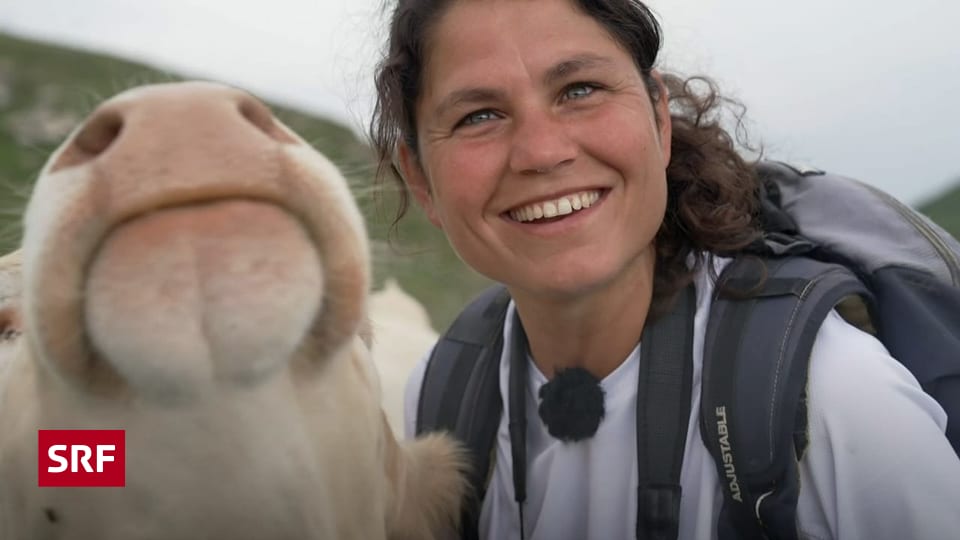 Leben auf der Alp: «Je weiter weg der Mensch ist, umso besser ...