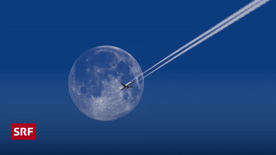 Flugscham vs. Reiselust - Sky Gods – Die wahren Kosten der Fliegerei ...