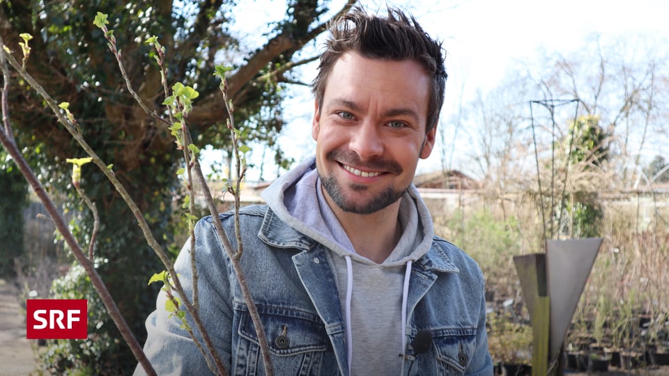 Birris biodiverser Balkon - Michel Birri ersetzt seine Plastikpflanzen ...