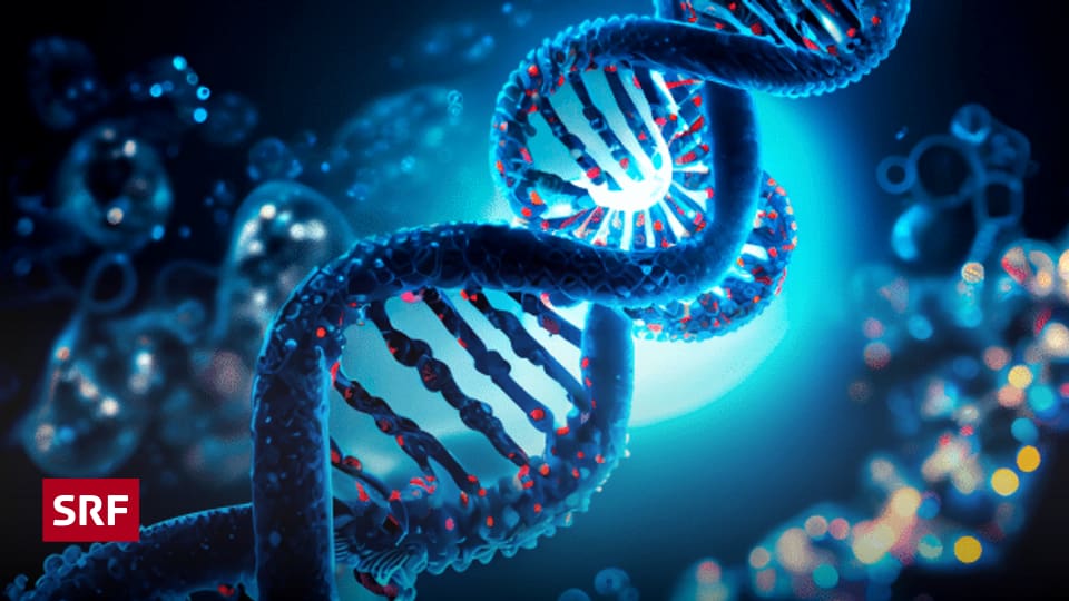 Meilenstein der Humangenetik - Ein Pangenom für die ganze Menschheit ...