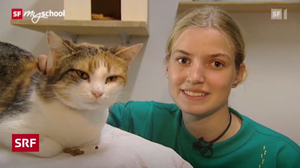 Tierliebe als Beruf - Berufsbild: Tierpflegerin EFZ - SRF school - SRF