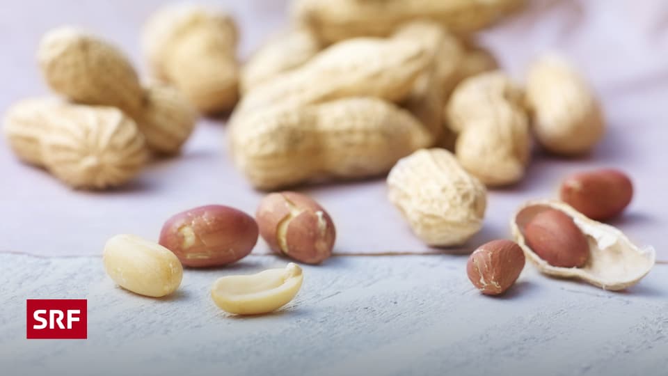 und Erdnüsse sind doch gesund! - Wissen - SRF