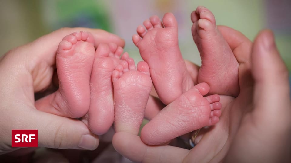 «3 vo 5» – das Kultquiz - Statt eins gleich mehrere: Was wissen Sie über Mehrlingsgeburten ...