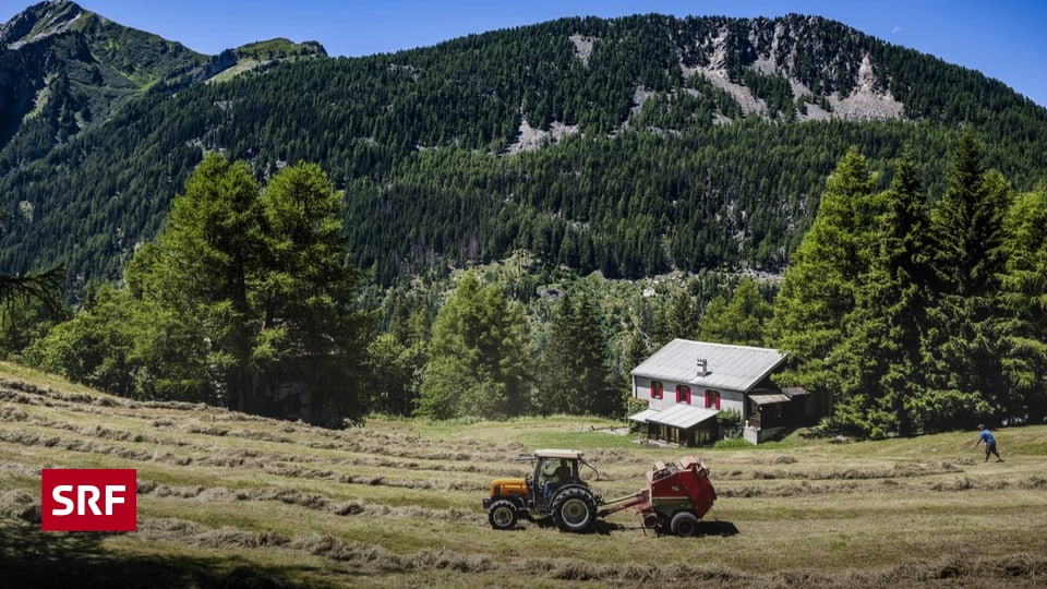 Lucelf video sophie is really a kind person! If you're in