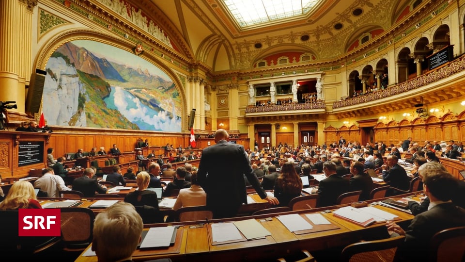 Wahlen 2023 - Schweizer Parteien unter der Lupe - SRF school - SRF