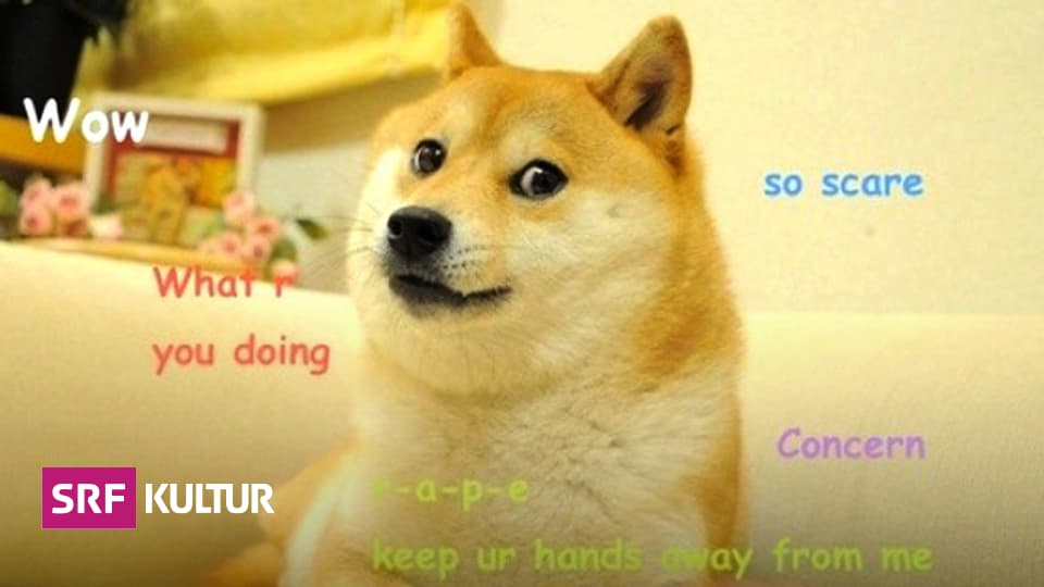 Netzwelt - Die Meme-Highlights des Jahres - Kultur - SRF