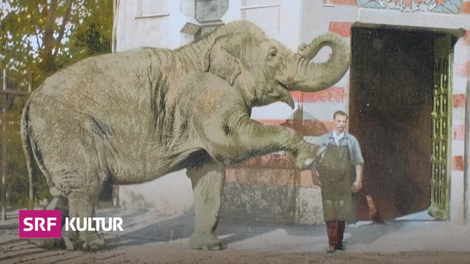150 Jahre Zoo Basel: Die Geschichte des Basler «Zolli» - Kultur - SRF