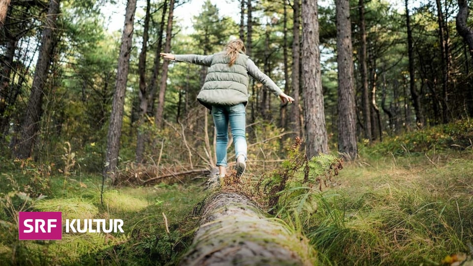 Biodiversität im Wald - Ein gesunder Wald ist nicht makellos - Kultur - SRF Biodiversität im Wald - Ein gesunder Wald ist nicht makellos - Kultur - SRF