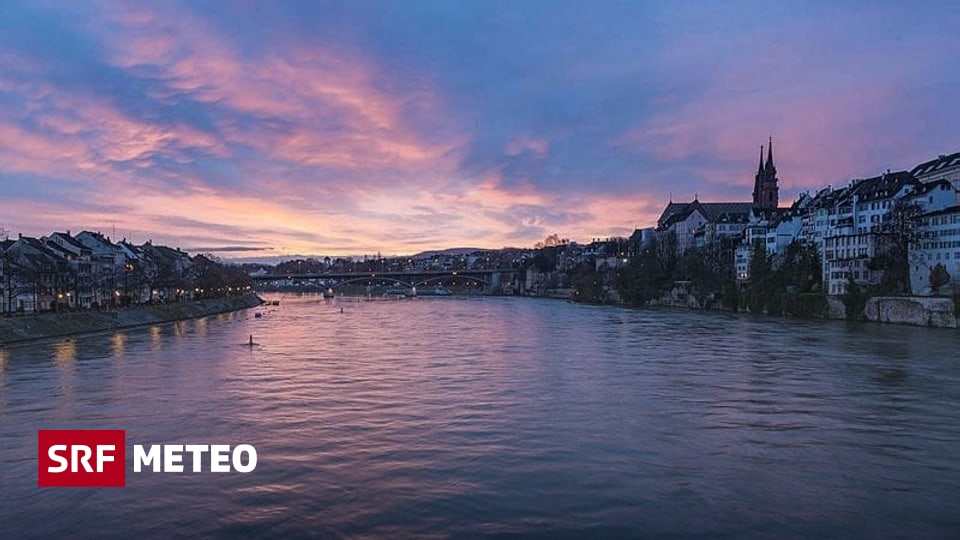 2018 vs. 2019 - Viel mehr Wasser im Rhein als vor einem Jahr - Meteo - SRF