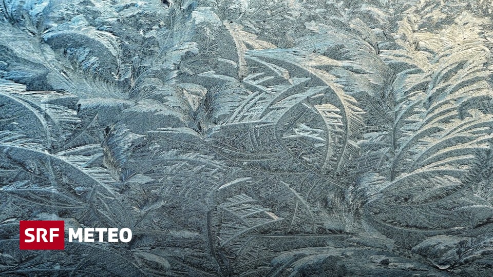 „Eisblumen an Fenstern: So entstehen die frostigen Wunder“ - Meteo - SRF