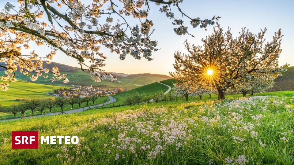 Bild des Monats - Das schönste Wetterfoto des Monats April ist gewählt - Meteo - SRF