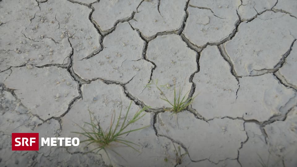 Trockenheit - In gewissen Regionen seit Monaten zu wenig Regen - Meteo - SRF