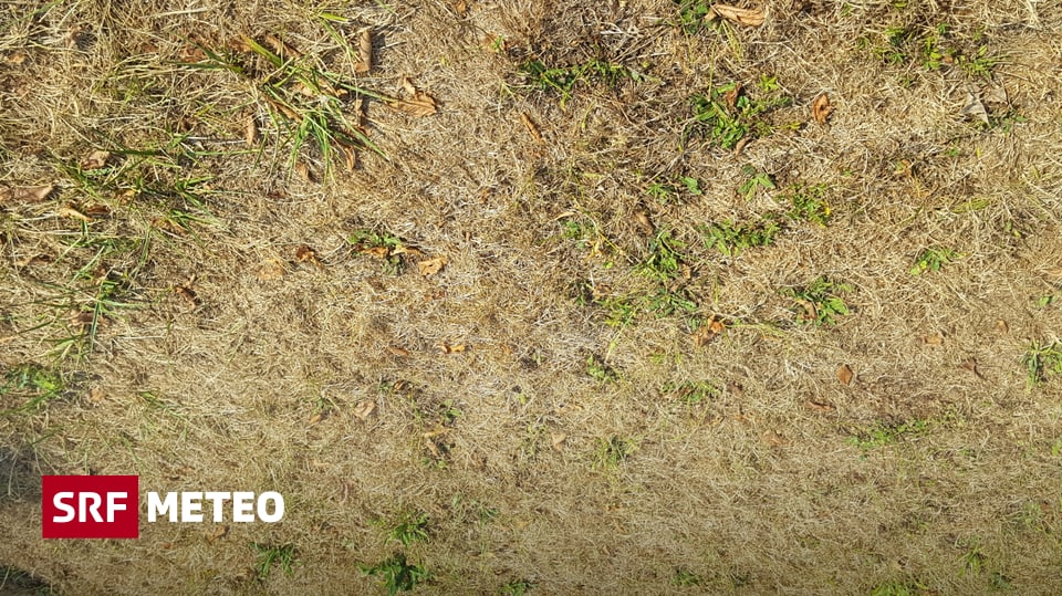 Kaum Regen in Sicht - Trockenheit bleibt bestehen - Meteo - SRF
