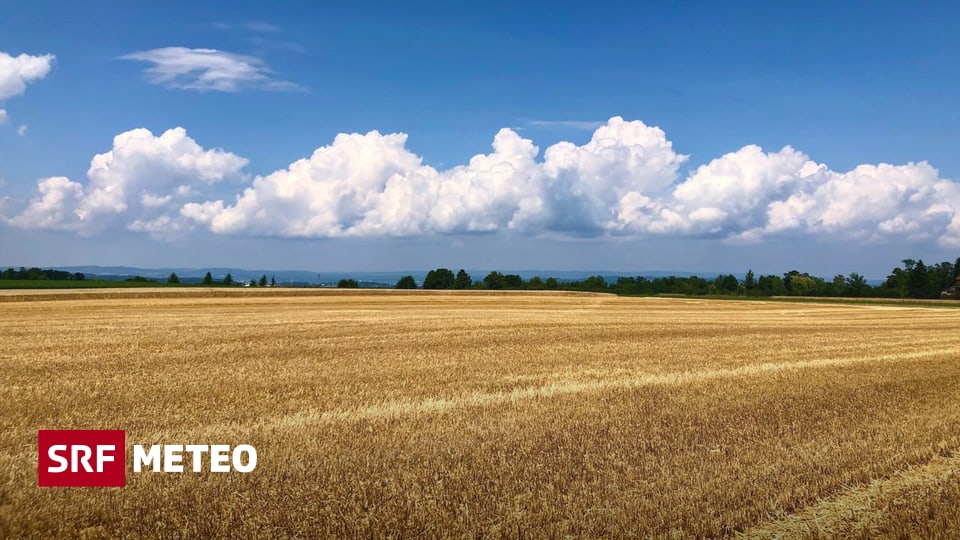Wenig Regen - Die Trockenheit in der Schweiz spitzt sich zu - Meteo - SRF
