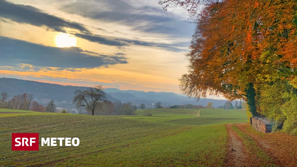 Novemberwetter - Schneeplausch oder Novemberblues? - Meteo - SRF