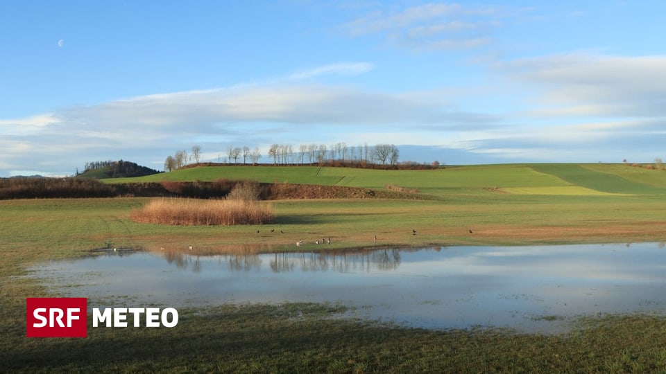 Trockenheit - Regen und Schnee brachten Entspannung - Meteo - SRF