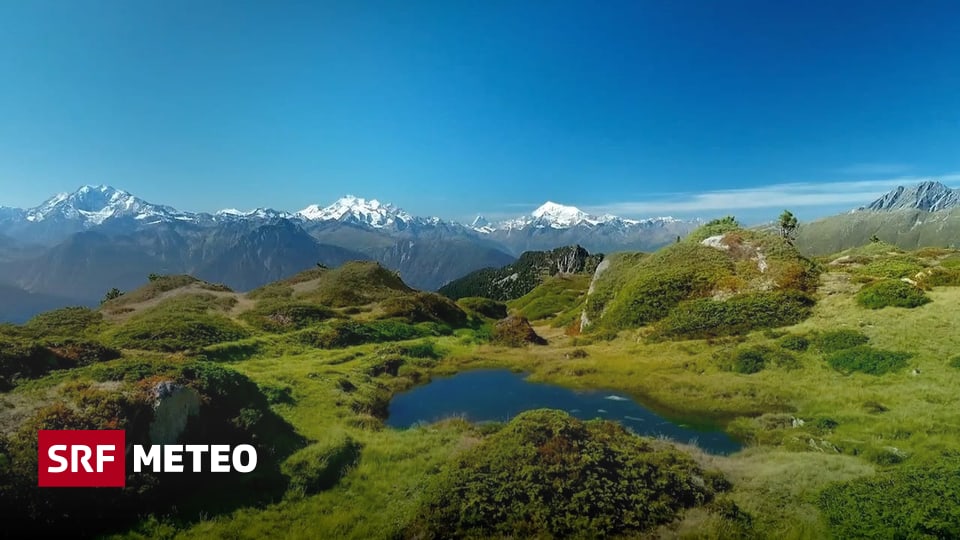 Sonnenblumen, Kornfeld und Co. - Die Orte im Vorspann der Sendung - Meteo - SRF