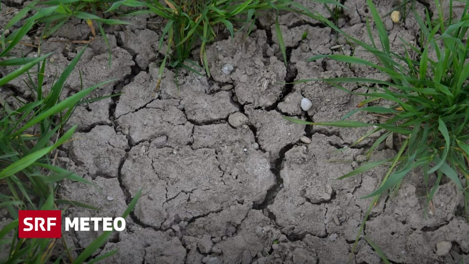 Trockenheit in der Schweiz - Es ist schon trocken und bis Ende Monat fällt kaum Regen - Meteo - SRF