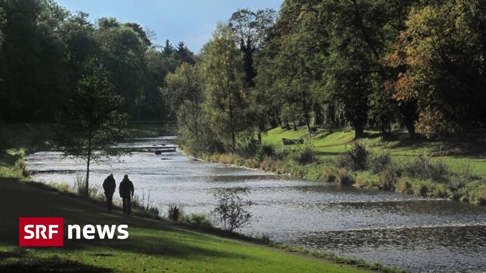 Basel Baselland - Pest bedroht einheimische Krebse in Rhein, Wiese und ...