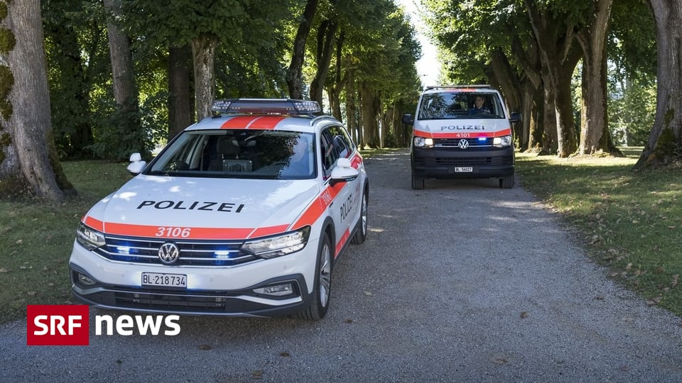 Basel-Landschaft - Häftlinge scheitern mit Ausbruchsversuch in Muttenz ...