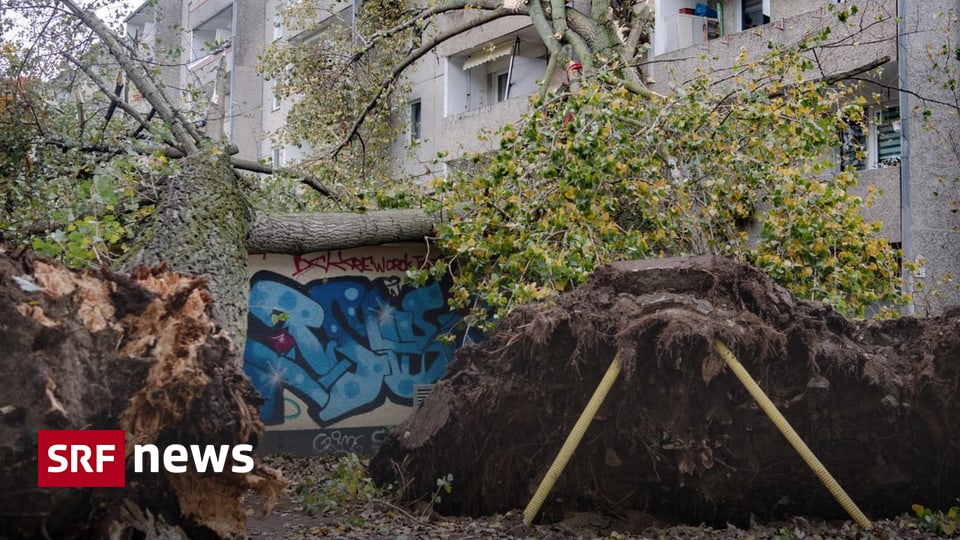 Starke Orkanböen - Sturmtief Hendrik sorgt für Schäden in Westeuropa - News - SRF