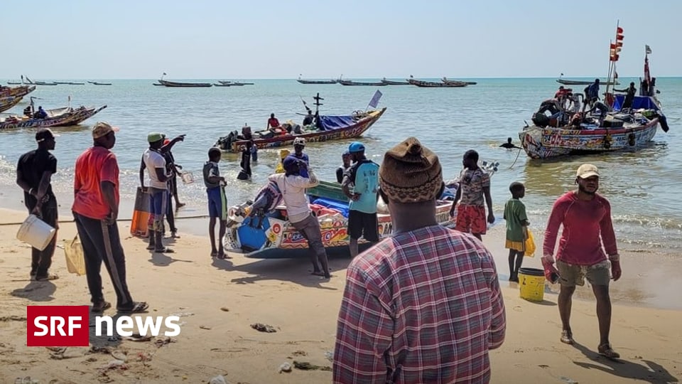 Migration aus Senegal: Wieso wollen so viele weg? - News - SRF