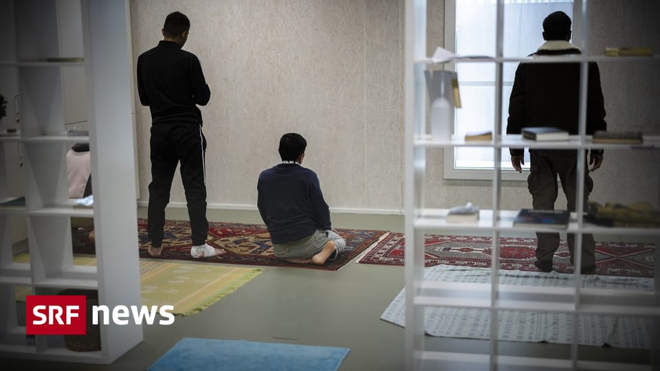 Maghreb-Experte Beat Stauffer über Asylsuchende aus dem Maghreb - News ...